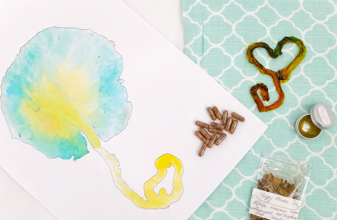 placenta encapsulation – Mama The Explorer